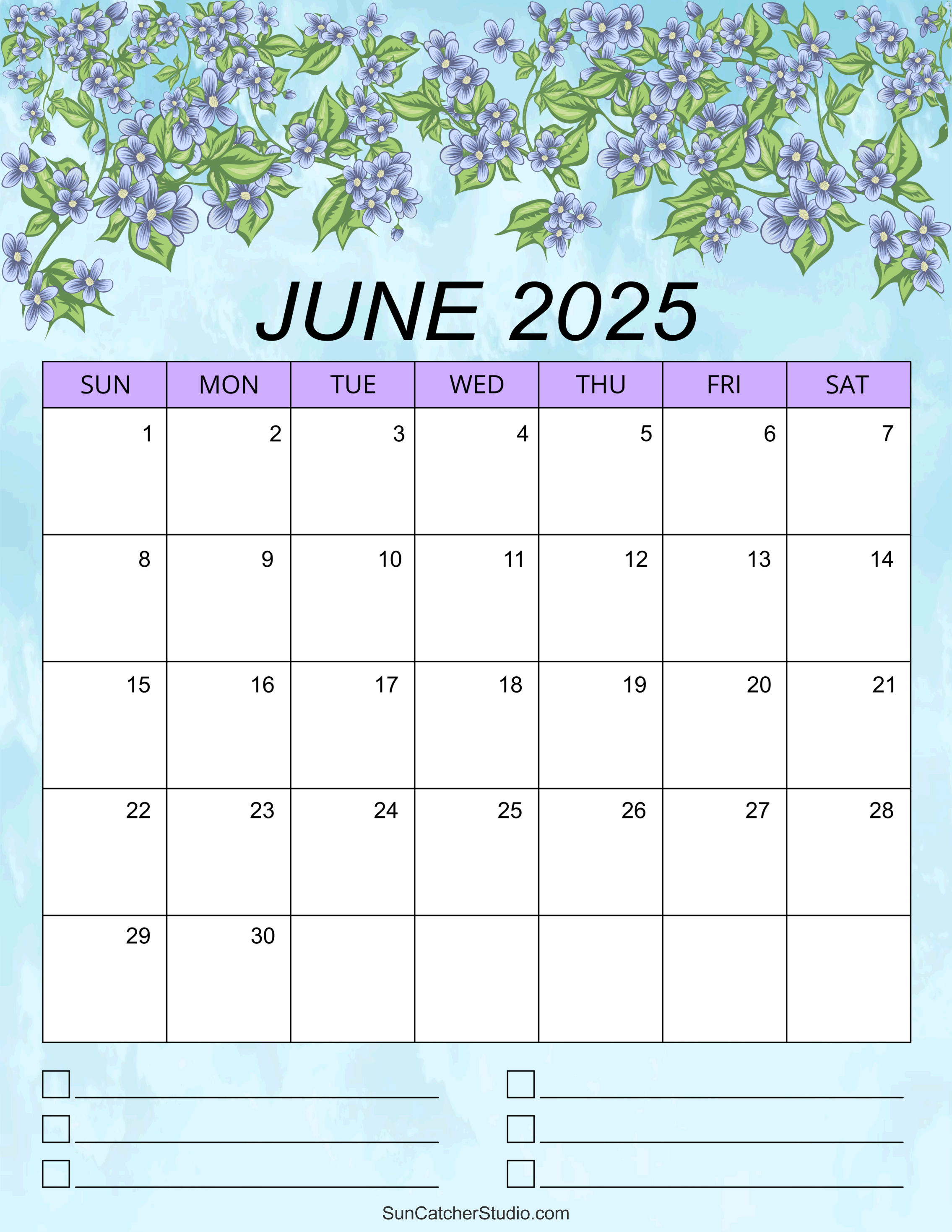 Project Calendar June 2025 Caye Victoria